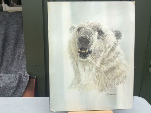 Large Vintage print on board polar bear by Phil prentice Lot BRE140618C ...