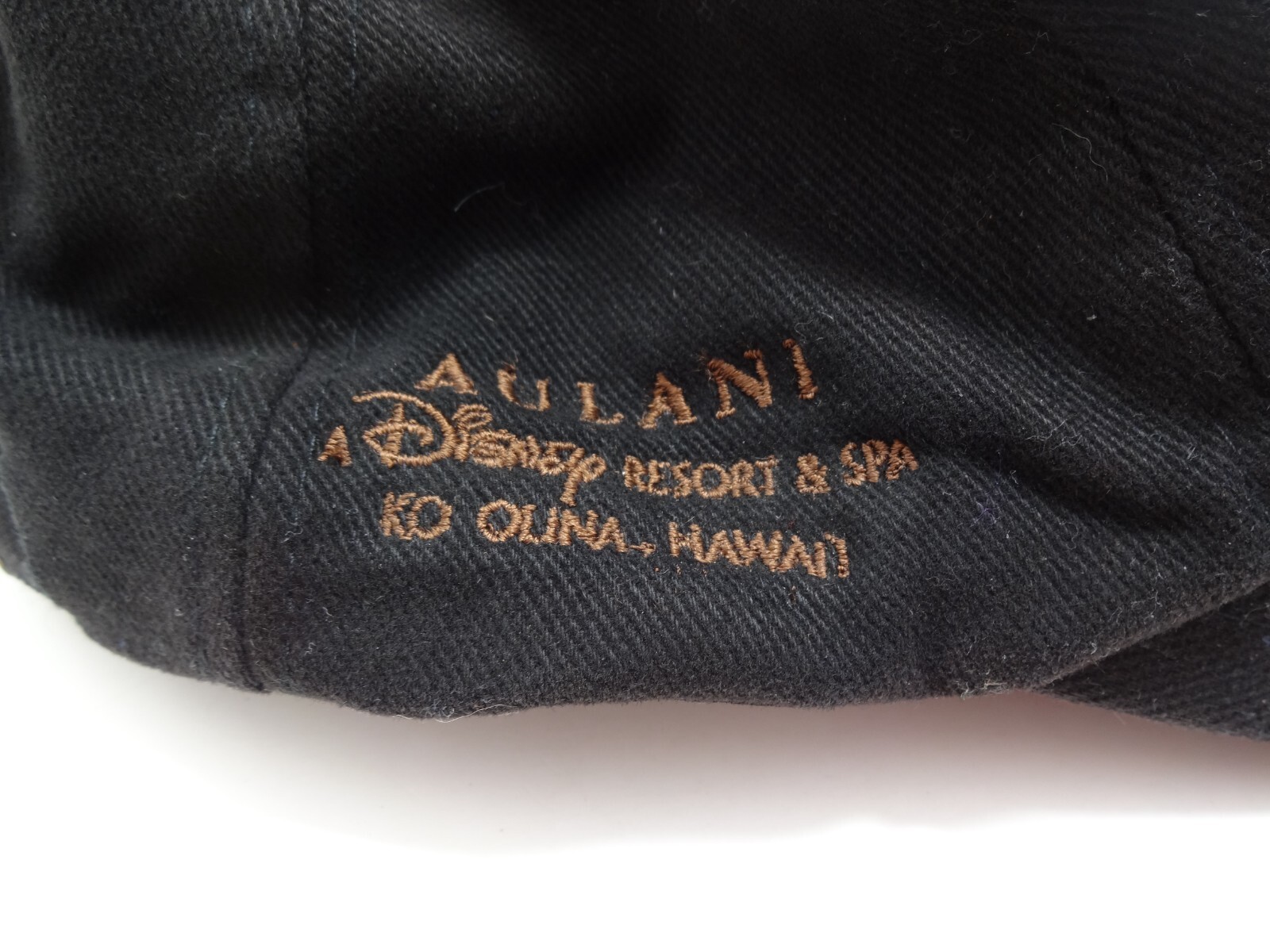 Walt Disney Imagineering Hat Aulani Top Off April 2010 Imagineer ...