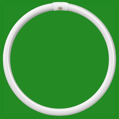 1x 40W G10Q 4 Pin T9 Round 400mm Circular Lamp Fluorescent Tube Light ...
