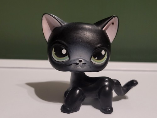 LPS #336 LITTLEST PETSHOP ORIGINAL AUTHENTIC CHAT EUROPEEN EUROPEAN CAT ...
