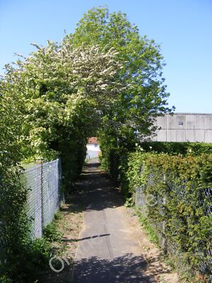 Photo 12x8 Footpath to Fore Street Framlingham Framlingham footpath no ...