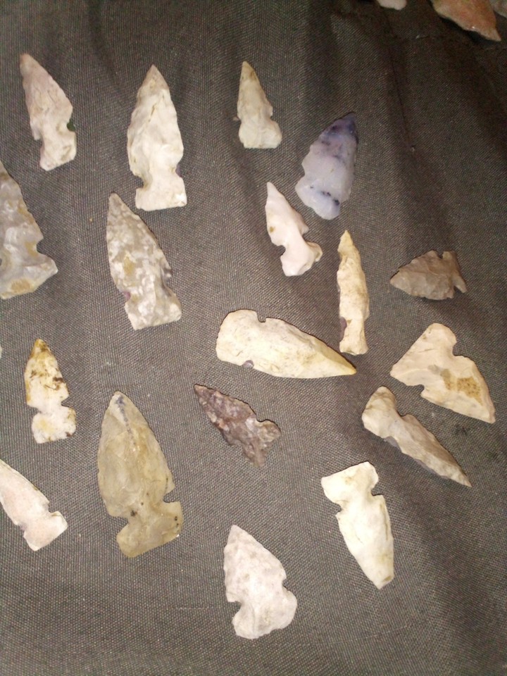 arrowheads authentic pre 1600 🍀 24 Pieces 🚨 Bird Points Authentic VERY ...