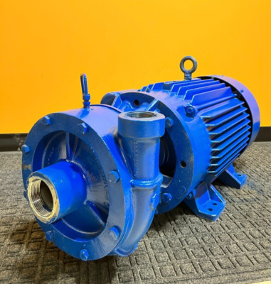 Carver Pump GHC 2.5X2X10 316SS 330 GPM, End-Suction Centrifugal Pump ...