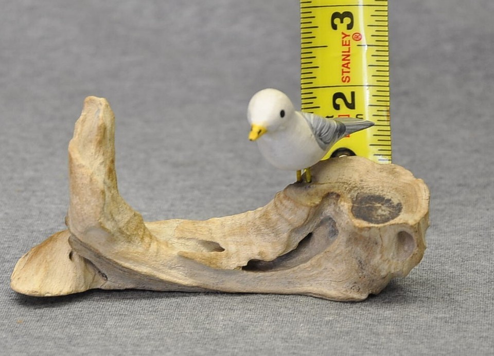 CUTE MINI SEAGULL Bird Decoy SITTING ON A PIECE OF DRIFTWOOD SCULPTURE ...