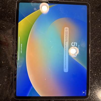 Apple iPad Pro 12.9-inch 4th Gen A2229 128 GB Wi-Fi Silver PPSDM ...