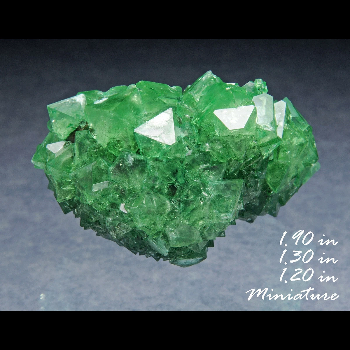 Colored Alum Crystals