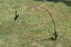 Ice Fishing Quickset Automatic Hook Setter for fishing rod 3 for $10 | eBay