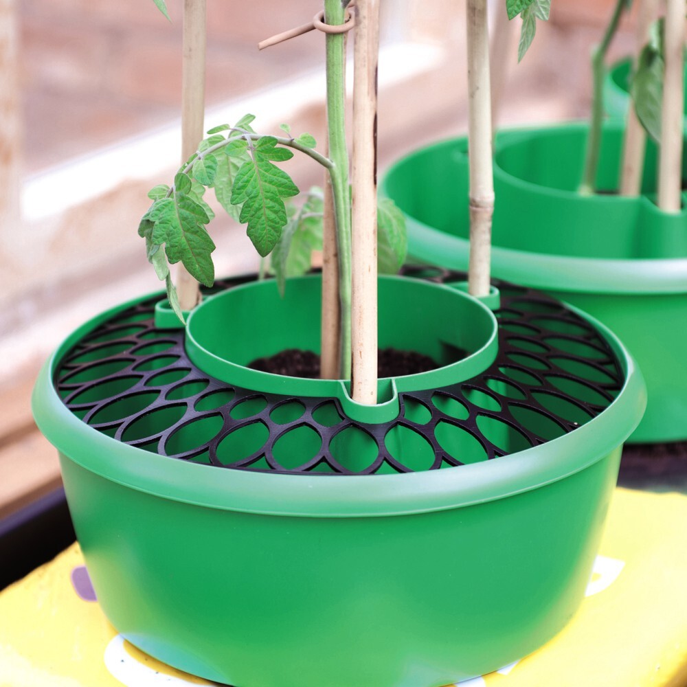 Suttons Plant Halos 3-Pack All-In-One Plant Support And Watering ...