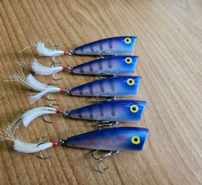 (5) Rebel Pop-R P60 Topwater Poppers, Lot of 5 Fishing Lures *Exclusive ...