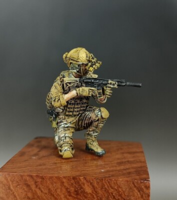 1/35 Built and Painted Resin Modern U.S DEVGRU Team Soldier D Figure ...