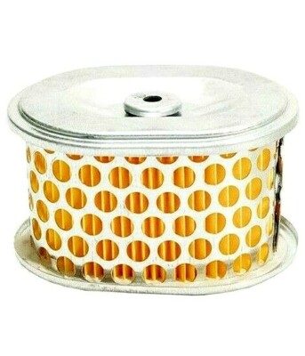 OEM Kohler Air Filter for 18 083 04-S 1808304S Fits SH265 | eBay