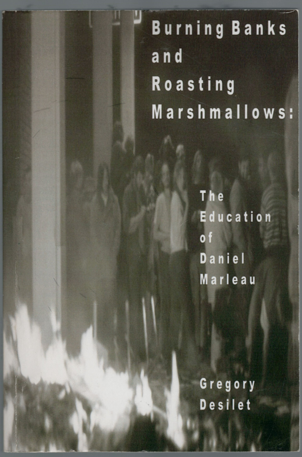 Burning Banks and Roasting Marshmallows: The Education of Daniel ...