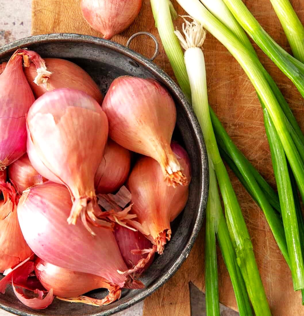 Nero Shallot Sets (Bulbs) | Traditional Round Onion Set Seed 2025 Fast ...