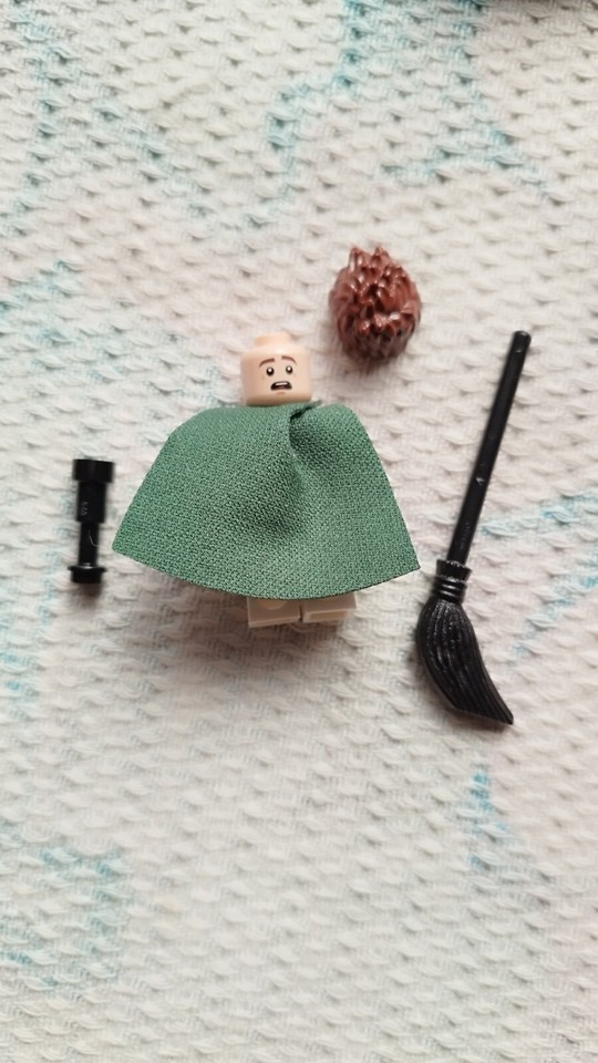 LEGO Harry Potter Sorcerer's Stone Lucian Bole from set 75956 | eBay