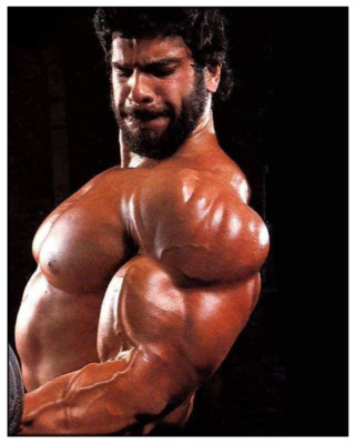 LOU FERRIGNO - 8"X10" PHOTOGRAPH | eBay