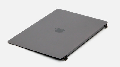 A2289 LCD Screen Display for 13" MacBook Pro A2289 LCD Display - A2289 ...