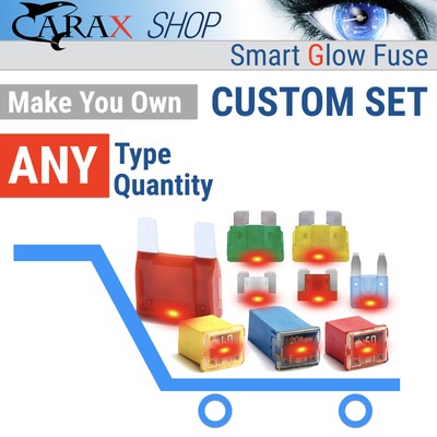 Blade Fuses Fuses Assortment Replacement Kit Smart GLOW Fuse ...