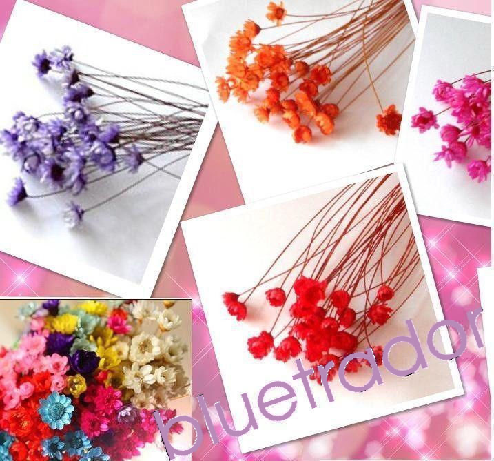 Various Dried Preserved Daisy Pampas Grass Flower Arrangement Wedding ...