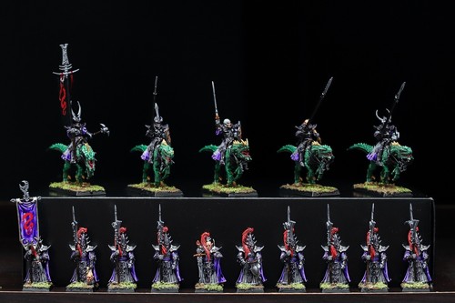 Dark Elves Pro Painted Army Builder - Warhammer: the Old World Minis ...