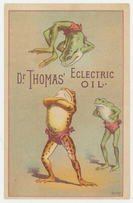 Anthropomorphic Frog Circus Acrobat Dr Thomas Eclectric Oil 1880's ...