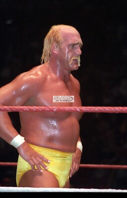 HULK HOGAN VINTAGE 8x10 COLOR PHOTO ROH ECW WWE NXT AEW IMPACT | eBay