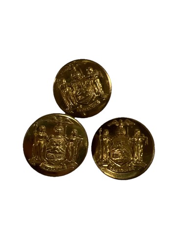 3 Antique Excelsior NY STATE OF NEW YORK COAT OF ARMS Button Shield ...