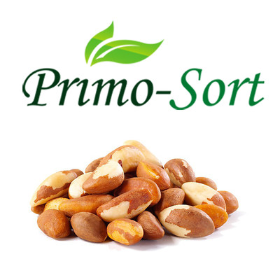 BRAZIL NUTS SELENIUM SOURCES PREMIUM QUALITY 100G-450G NOT BROKEN | eBay
