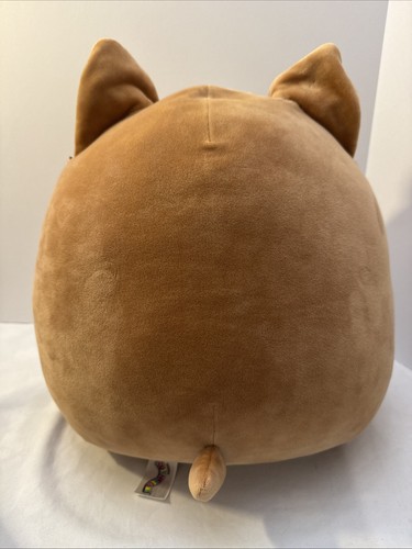 Squishmallow Regina the Corgi Plush 14 in Rare With Eyes Closed | eBay