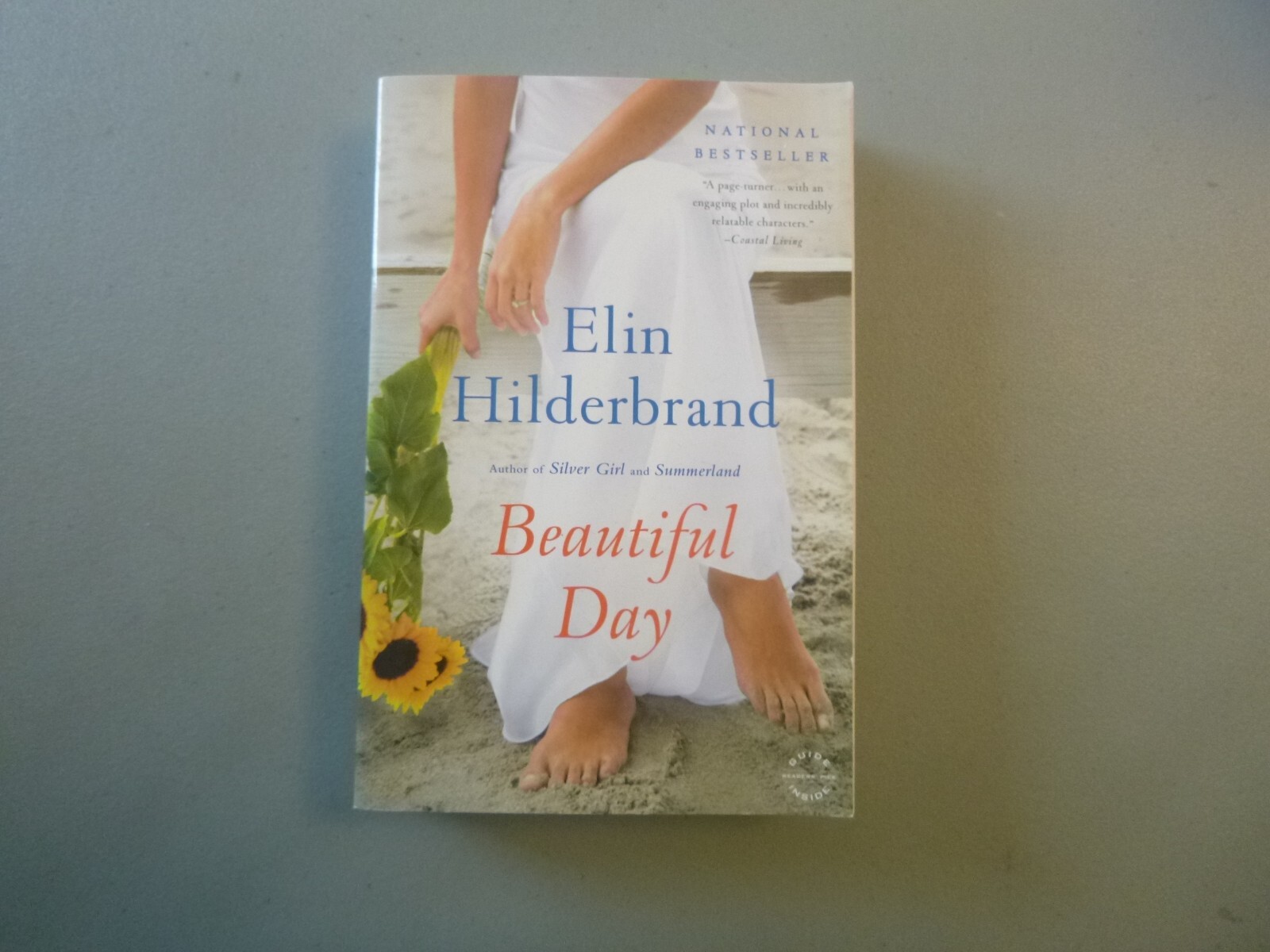 Beautiful Day : A Novel by Elin Hilderbrand (2014, Trade Paperback) for ...