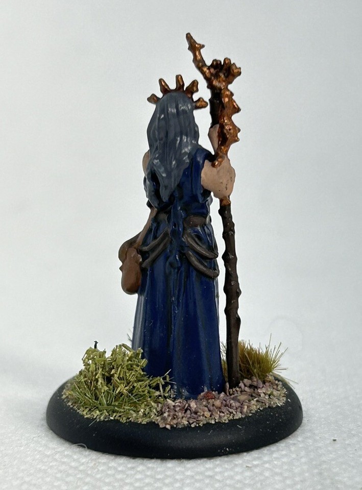 Wizard Mage Painted Miniature for D&D or Pathfinder Fantasy RPG | eBay