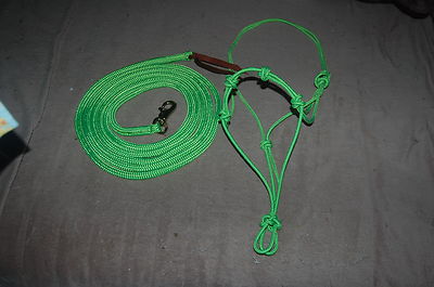14' LIME GREEN LEAD ROPE WITH BULL SNAP & TRAINING HALTER FOR PARELLI ...