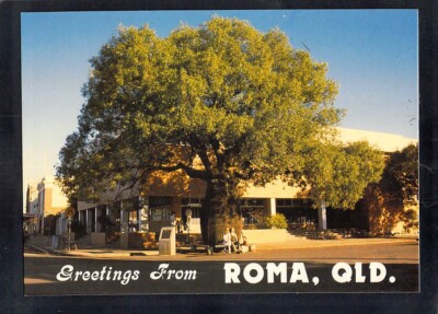 D8225 Australia Q Roma Tree of Knowledge c1988 postcard | eBay