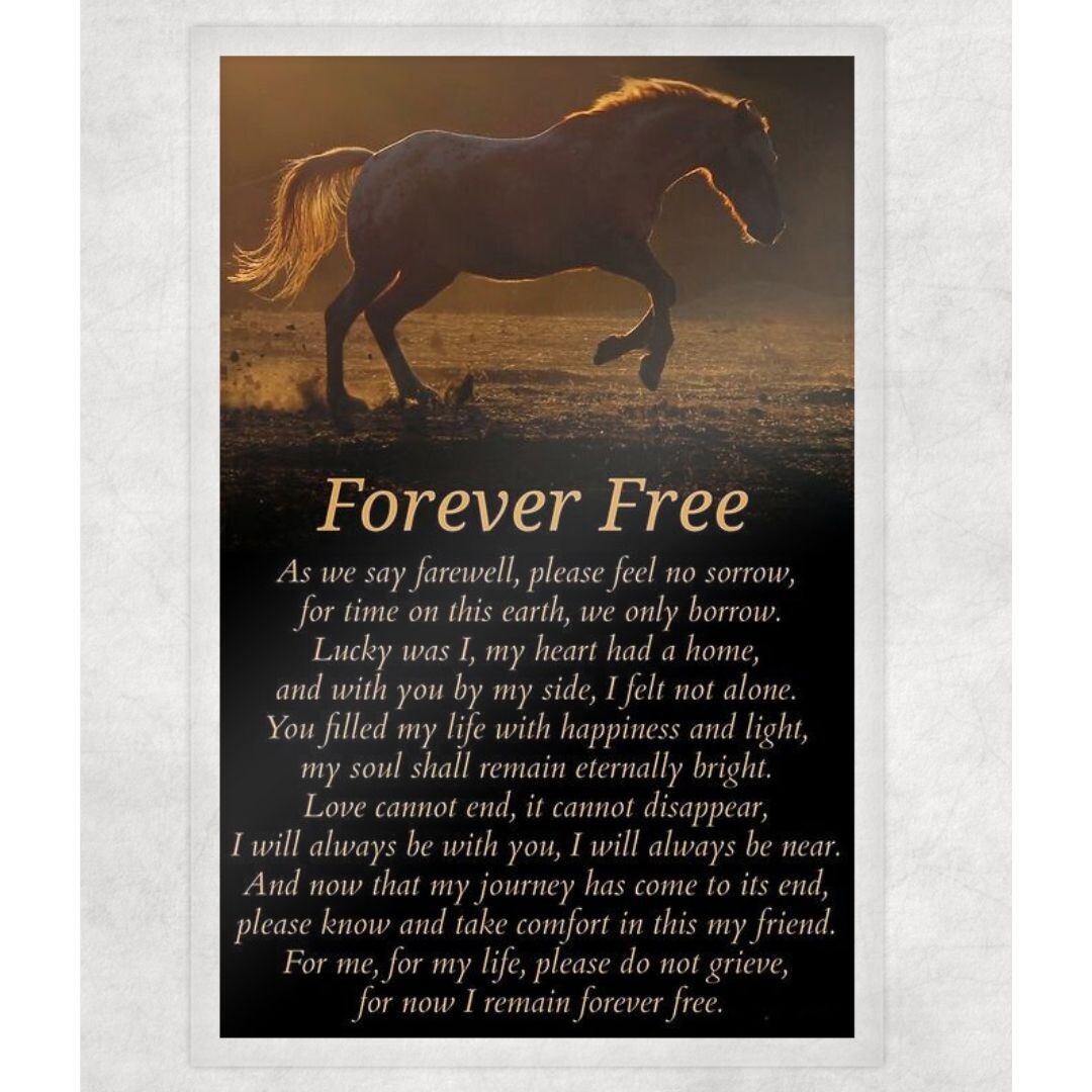 Forever Free Horse Laminated Print Unframed Poem Picture 8.5x11 Gifts ...