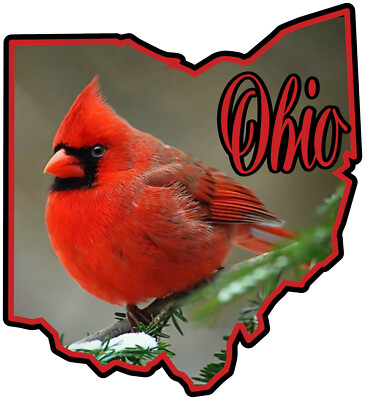 State of Ohio Sticker Decal Car Truck window Bumper sticker USA Ohio ...