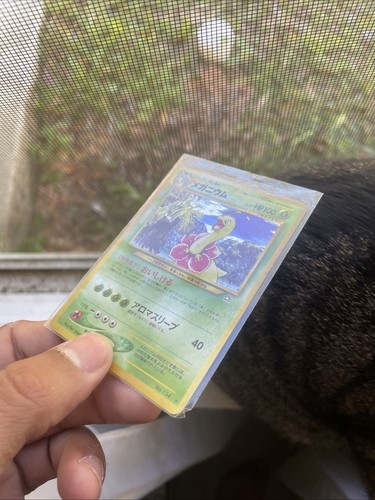 MEGANIUM Japanese Pocket Monsters Neo Genesis Rare Holo Card No. 154 ...