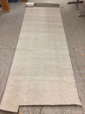 1084824 SLIDE OUT CARPET | eBay