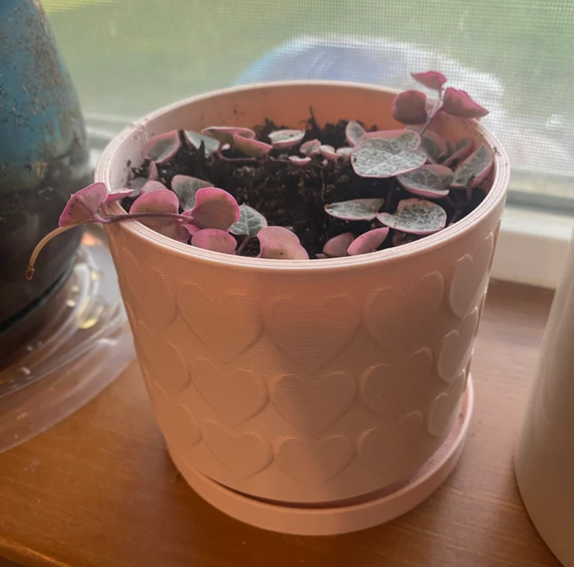 Light Pink Heart Pot - Design - Mini Flower Pot - Home Decor | eBay