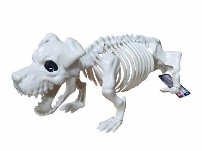 Dog Skeleton Prop - Natural - 51cm*14cm*17cm 22inchx5inchx12inch ...