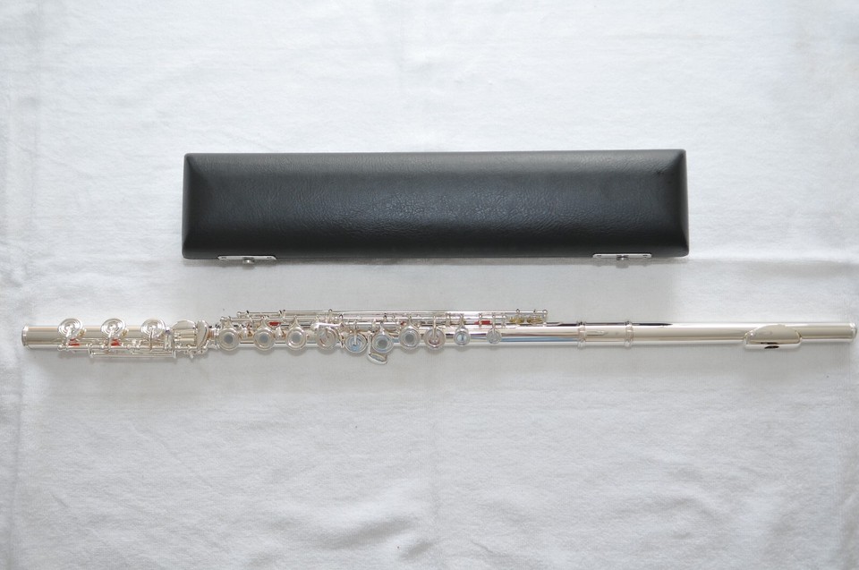 Professional Silver Plated C Key Flute 17 Open Hole B Foot Split E ...