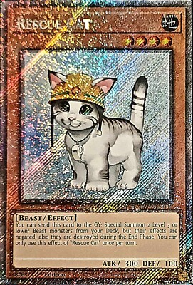 Rescue Cat RA02-EN001 (PSR) | eBay