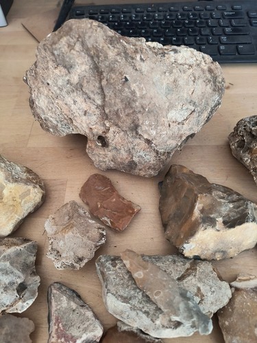 Over 13lbs Edwards Plateau Chert /Flint Blanks, Preforms Knapping ...