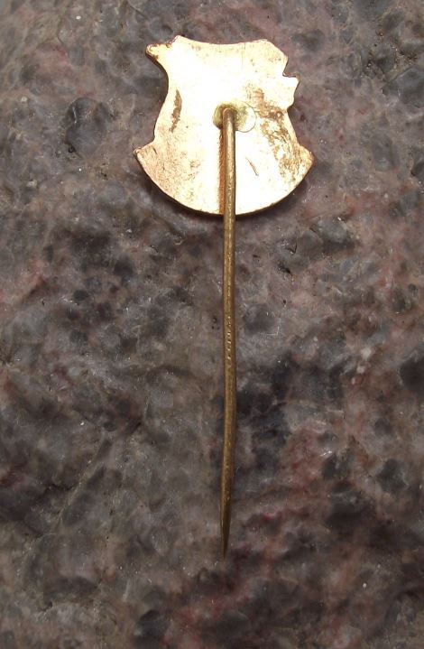 Vintage Santos SFC Fish & Stadium Brazil Football Club Soccer Pin Badge ...