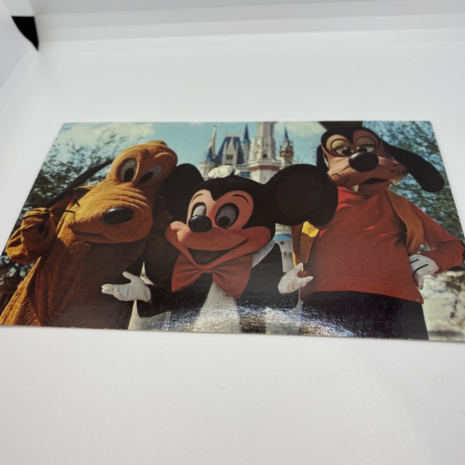 Vintage Disney World Postcards at Nicholas Packard blog