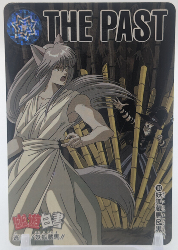 Yoko Kurama Kuronue #180 Yu Yu Hakusho Carddass Card BANDAI TCG 1993 ...