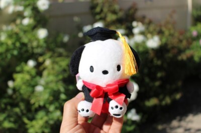 Pochacco Plushie, Graduation Series, Sanrio Plush, Sanrio Gift ...