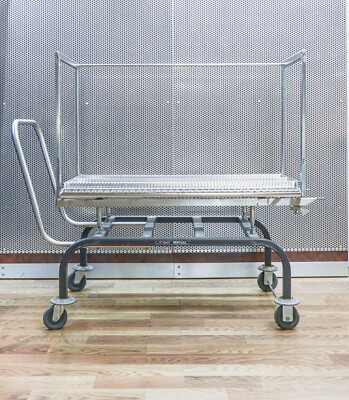 Steris Amsco Sterilization Transport Transfer and Loading Cart 48" x 24 ...