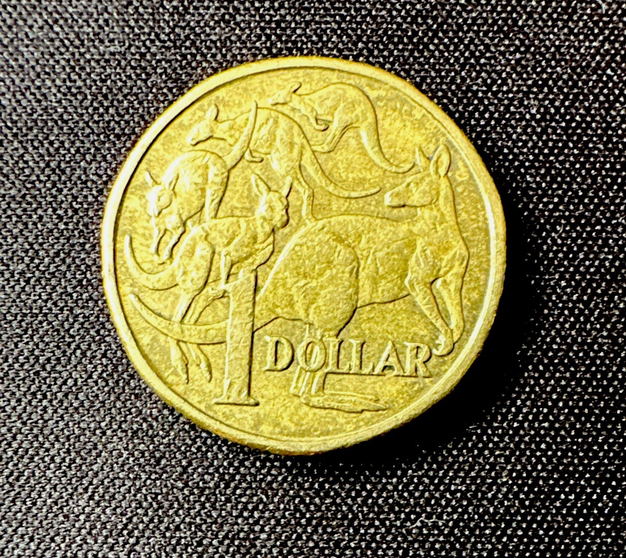 1984 Australia Mob Of Roos Kangaroo $1 One Dollar Coin | eBay