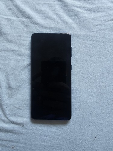 Samsung Galaxy S21 5G SM-G991B/DS - 128GB - Phantom Gray (Ohne Simlock ...