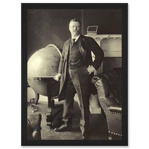 Vintage Portrait US President Theodore Roosevelt Bull Moose A4 Framed ...