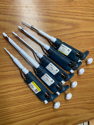 Gilson Pipet pipetman Pipettor pipet set P1000 P20 P10 P200 P100 ul wfe ...